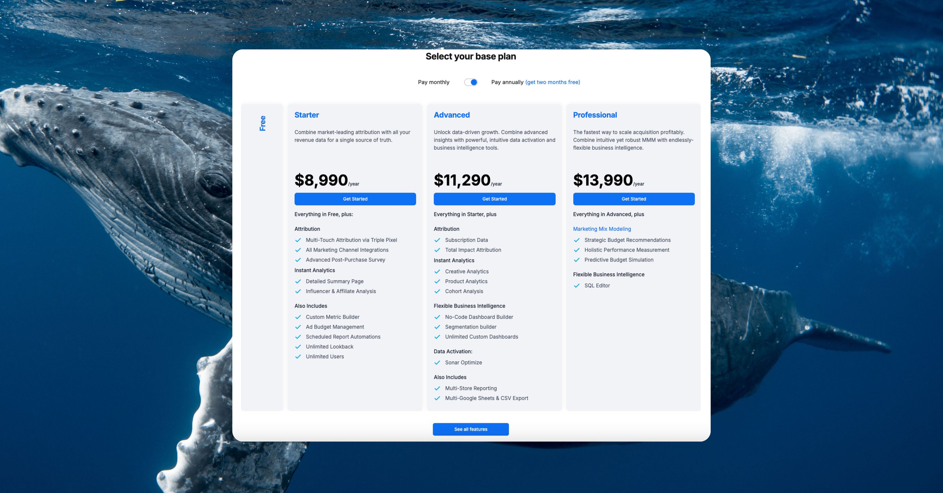 Triple Whale Pricing in 2025: Costs, Features and Best Alternatives